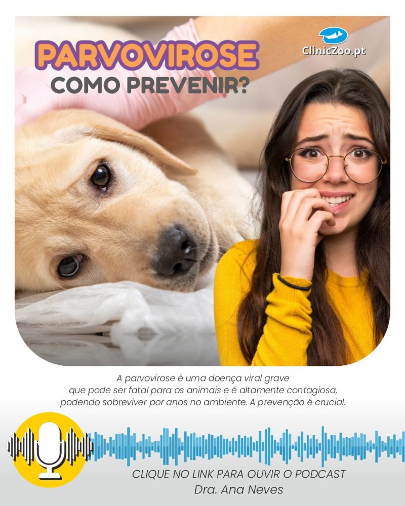 Parvovirose – ClinicZoo – Veterinária